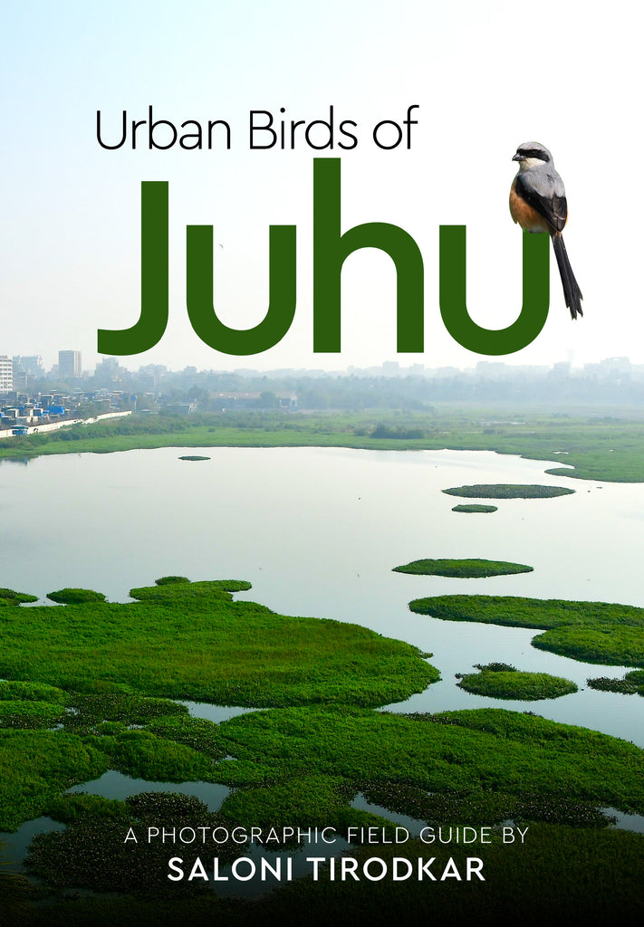 Urban Birds of Juhu: A Photographic Field Guide by Saloni Tirodkar (Fu ...